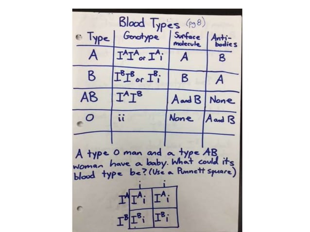 Blood types notes | PPTX