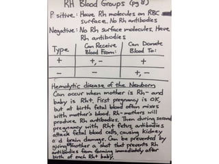 Blood types notes | PPTX