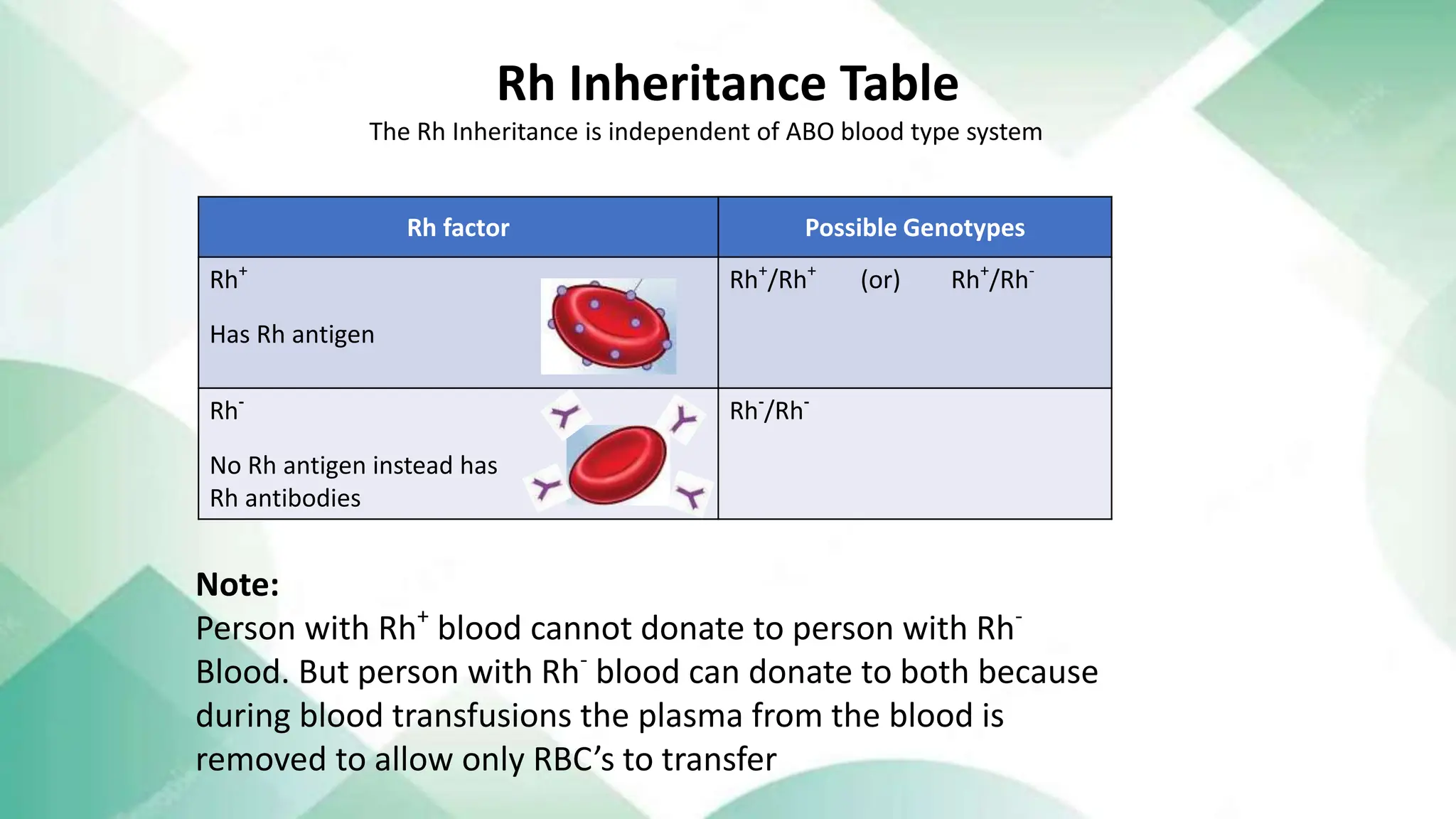 blood types and its information for school | PPTX | Infectious Diseases ...