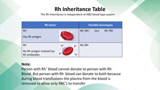 blood types and its information for school | PPTX | Infectious Diseases ...