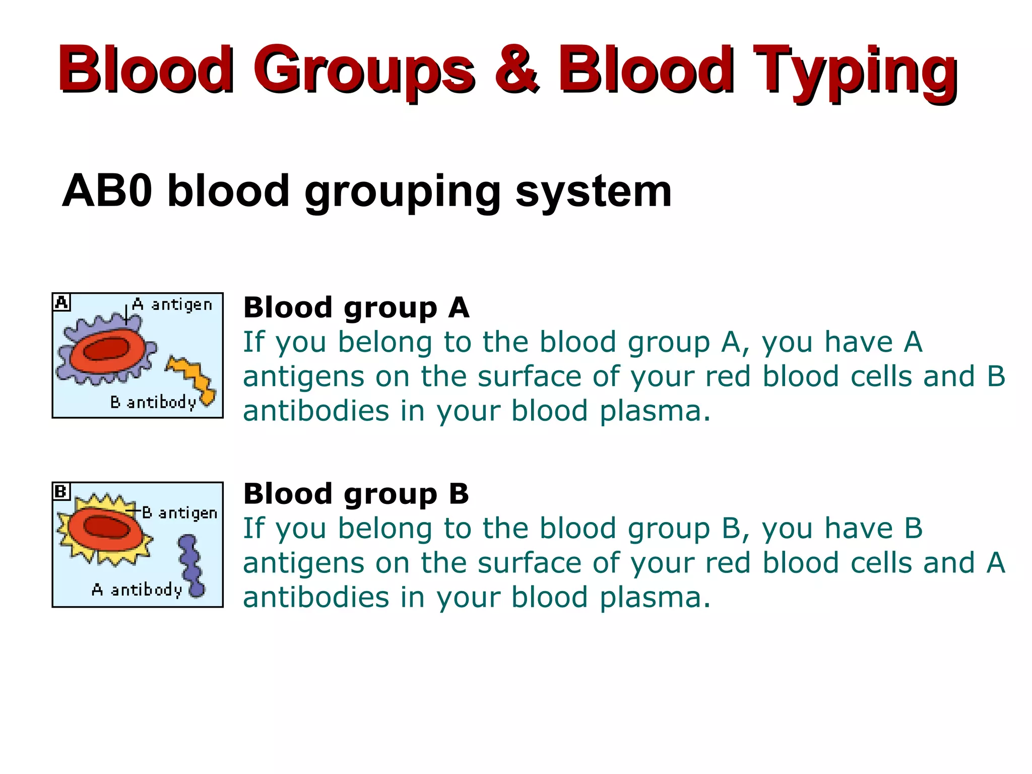 Blood Typing | PPT