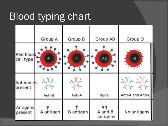 Antibodies And Blood Donor Chart Blood Type Compatibility Chart PDF