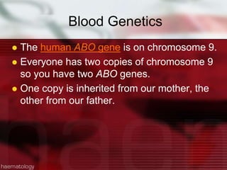 Blood Typing and Genetics (3).pptx