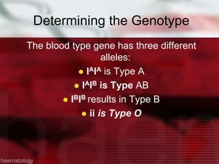 Blood Typing and Genetics (3).pptx