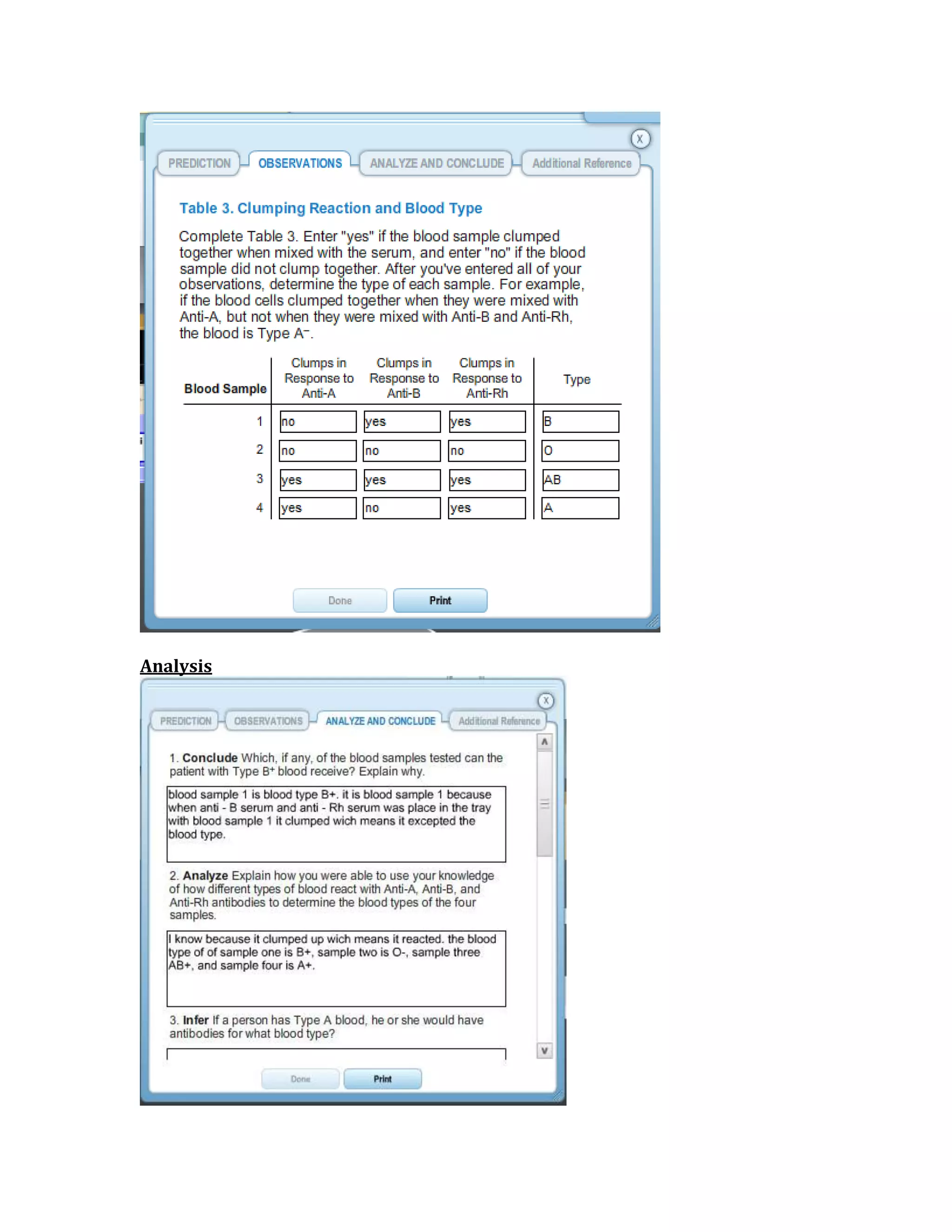 Blood typing lab | DOCX