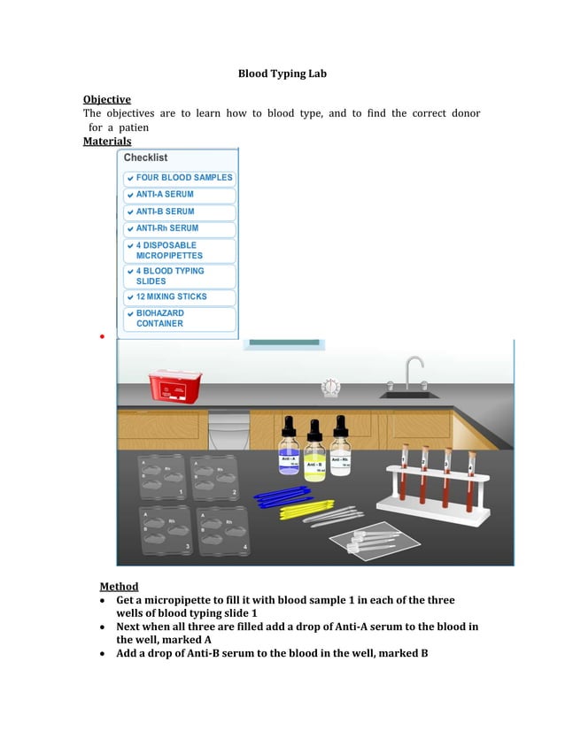 Blood typing lab | DOCX | Blood Disorders | Diseases and Conditions