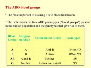 Blood Typing | PPT