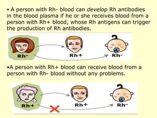 Blood Typing | PPT