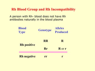 Blood Typing | PPT