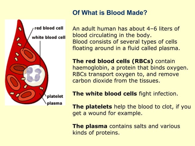 Blood typing ppt | PPT