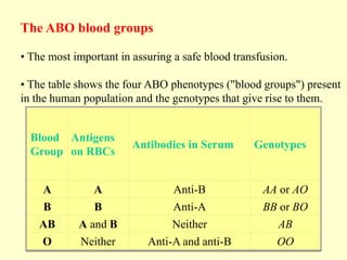 Blood Typing PPT.ppt