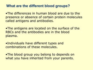 Blood Typing PPT.ppt