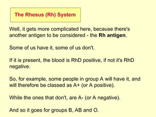 Blood Typing Powerpoint Freshmen Lab - Blood Typing Synthetic Blood | PPT