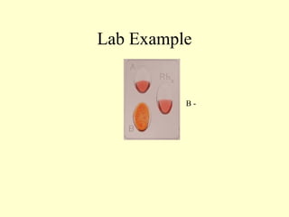 Blood Typing Powerpoint Freshmen Lab - Blood Typing Synthetic Blood | PPT