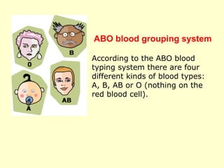 Blood Typing Powerpoint Freshmen Lab - Blood Typing Synthetic Blood | PPT