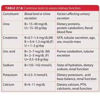 Blood Urea Estimation nitrogen containing.pdf | Chemistry | Science