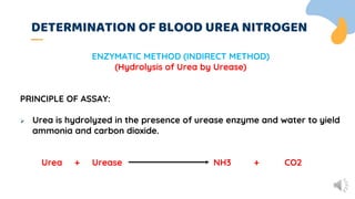 Blood urea nitrogen | PPTX