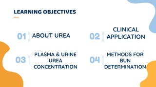 Blood urea nitrogen | PPTX