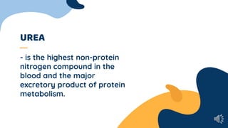 Blood urea nitrogen | PPTX