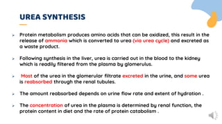 Blood urea nitrogen | PPTX