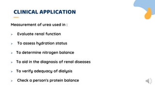 Blood urea nitrogen | PPTX