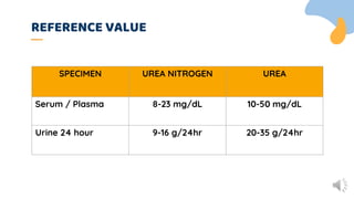 PPT Overview Of Blood Urea Nitrogen (BUN) Test PowerPoint, 53% OFF