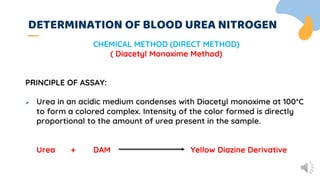 PPT Overview Of Blood Urea Nitrogen (BUN) Test PowerPoint, 53% OFF