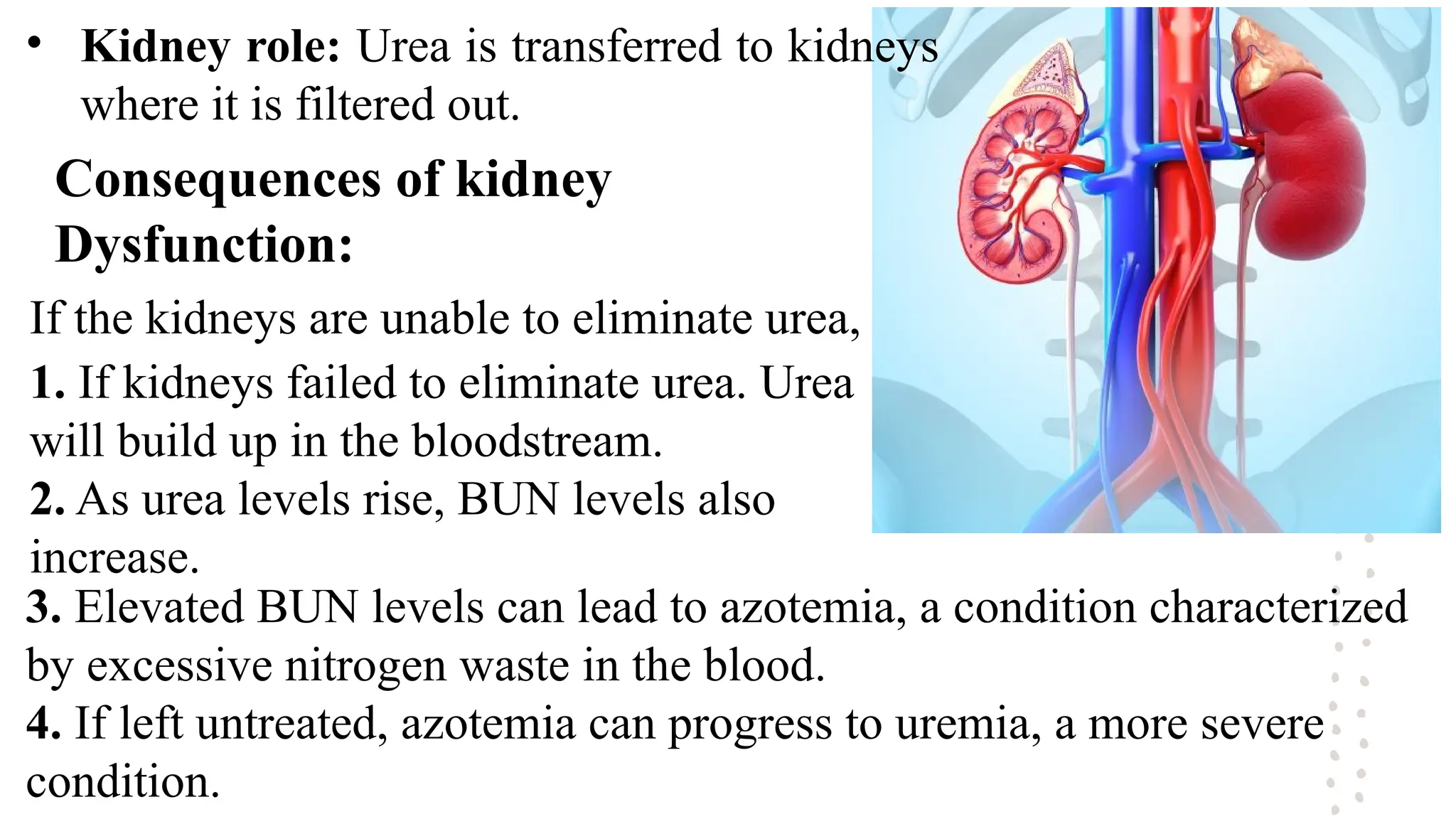 BLOOD UREA NITROGEN and it's assessment.pptx