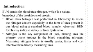 BLOOD UREA NITROGEN and it's assessment.pptx
