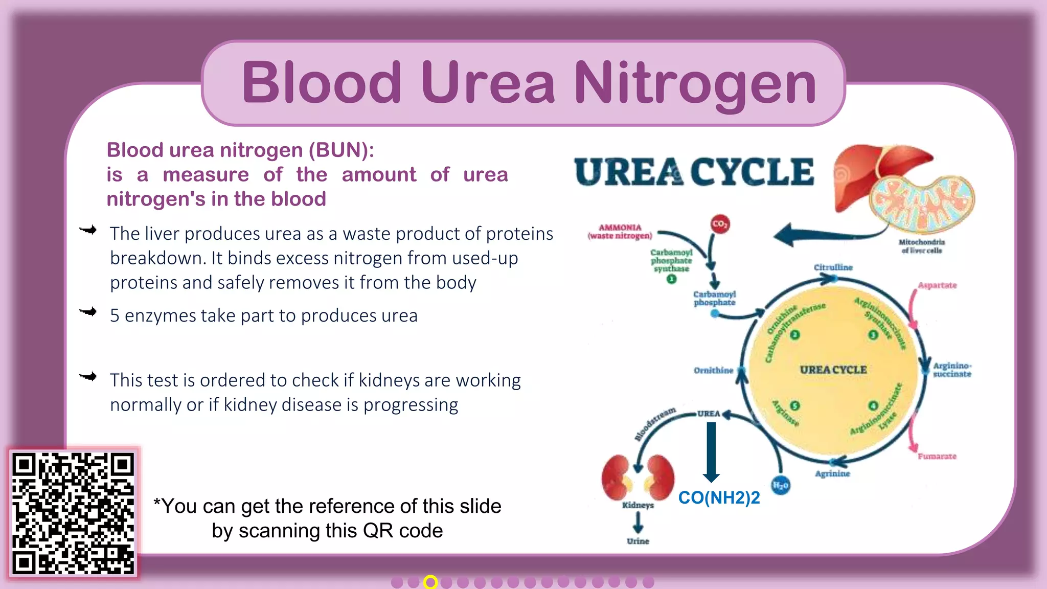Blood Urea Nitrogen Test | PPTX
