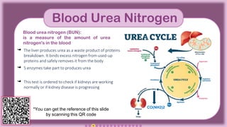 Blood Urea Nitrogen Test | PPTX