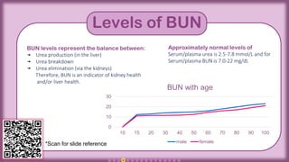Blood Urea Nitrogen Test | PPTX