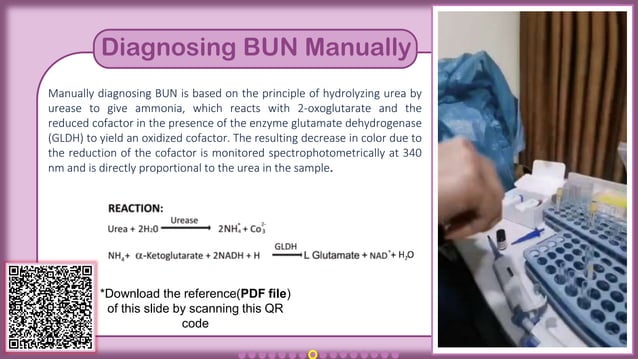 Blood Urea Nitrogen Test | PPTX | Blood Disorders | Diseases and Conditions