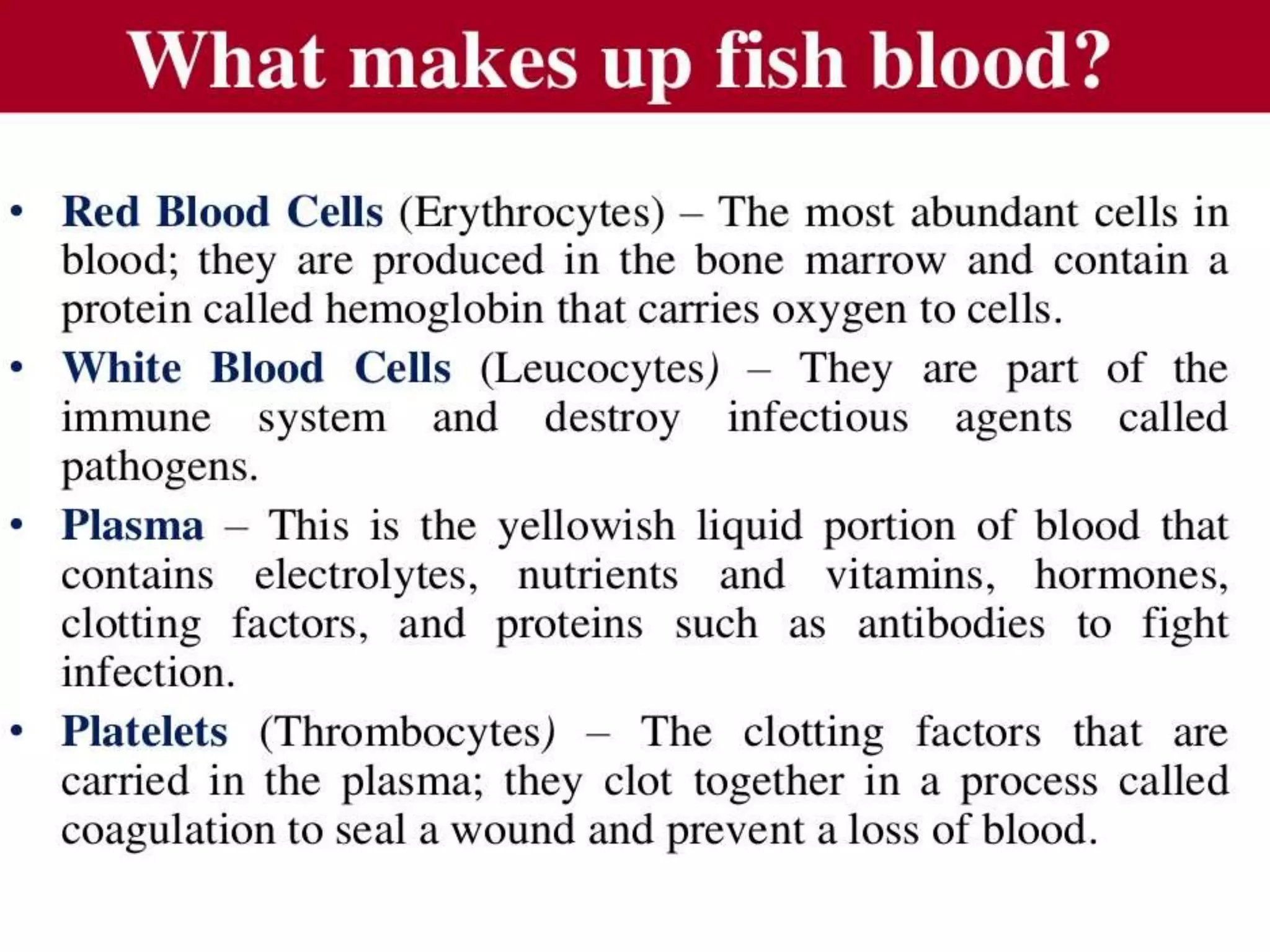 Blood vascular system of fishes (yogesh kumar) | PPTX