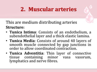 Distributing Arteries