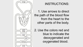the heart, blood vessel and circulation.pptx