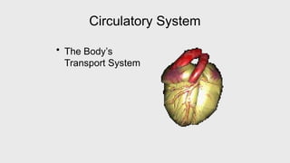 the heart, blood vessel and circulation.pptx