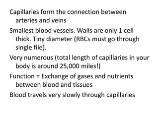 Blood vessel notes | PPTX