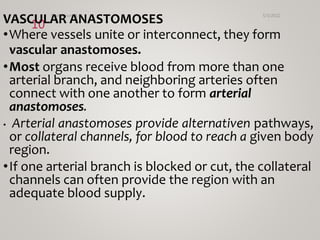 Blood vessel of the body.pptx
