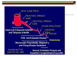Blood vessel pathology | PPT