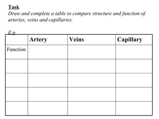 Blood Vessels | PPT