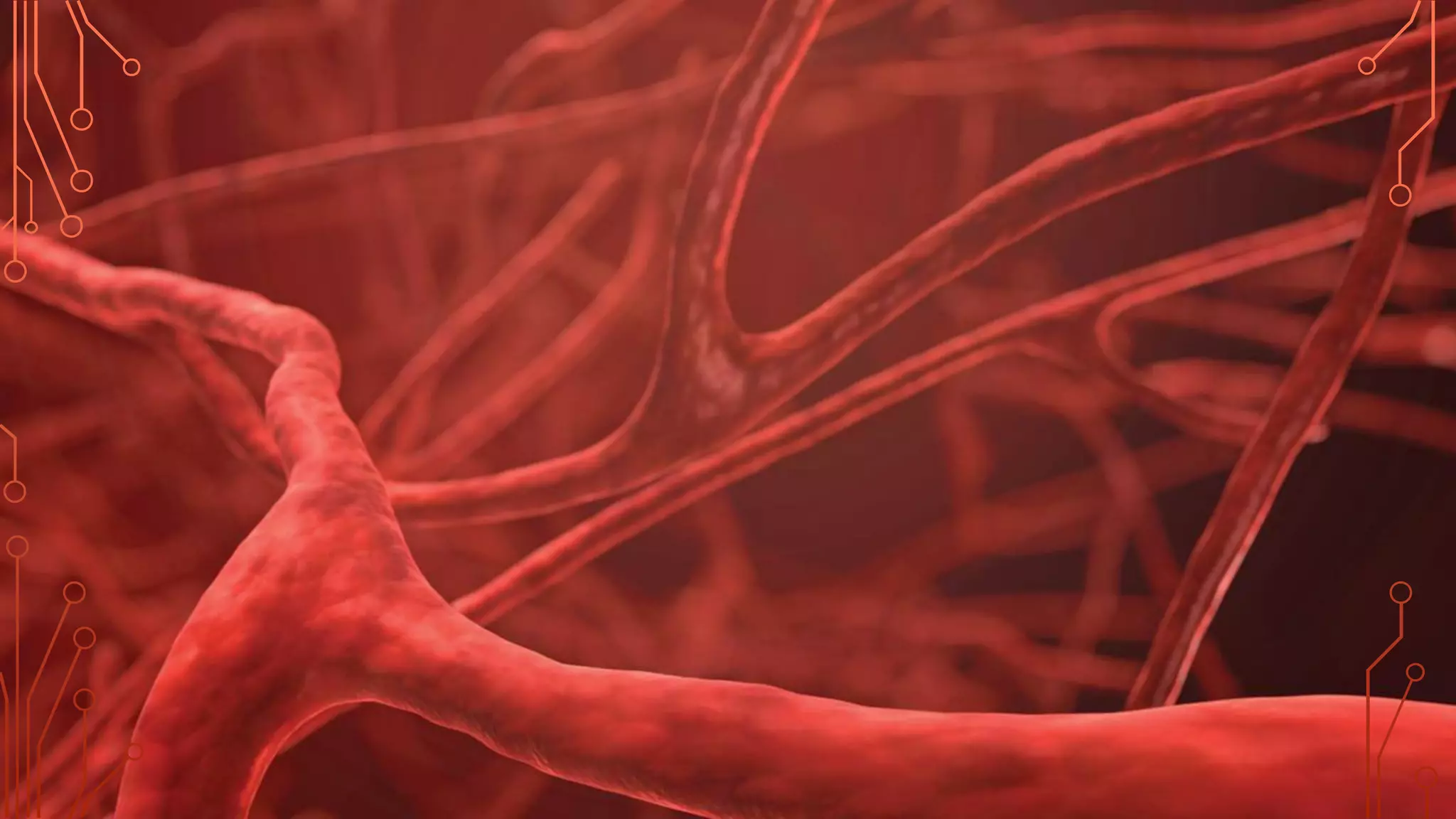 Blood vessels | PPTX