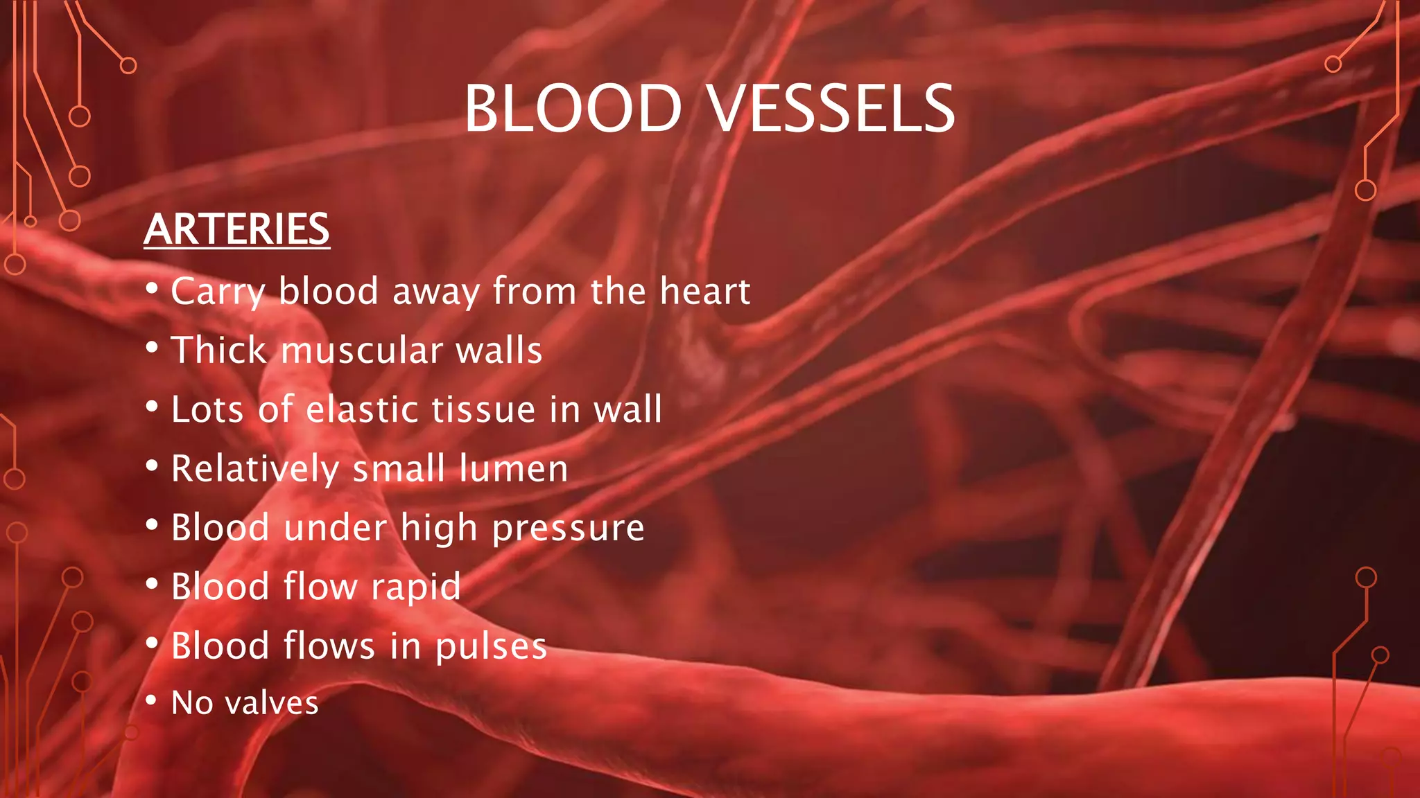 Blood vessels | PPTX