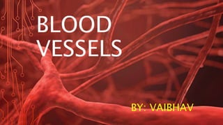 Blood vessels | PPTX