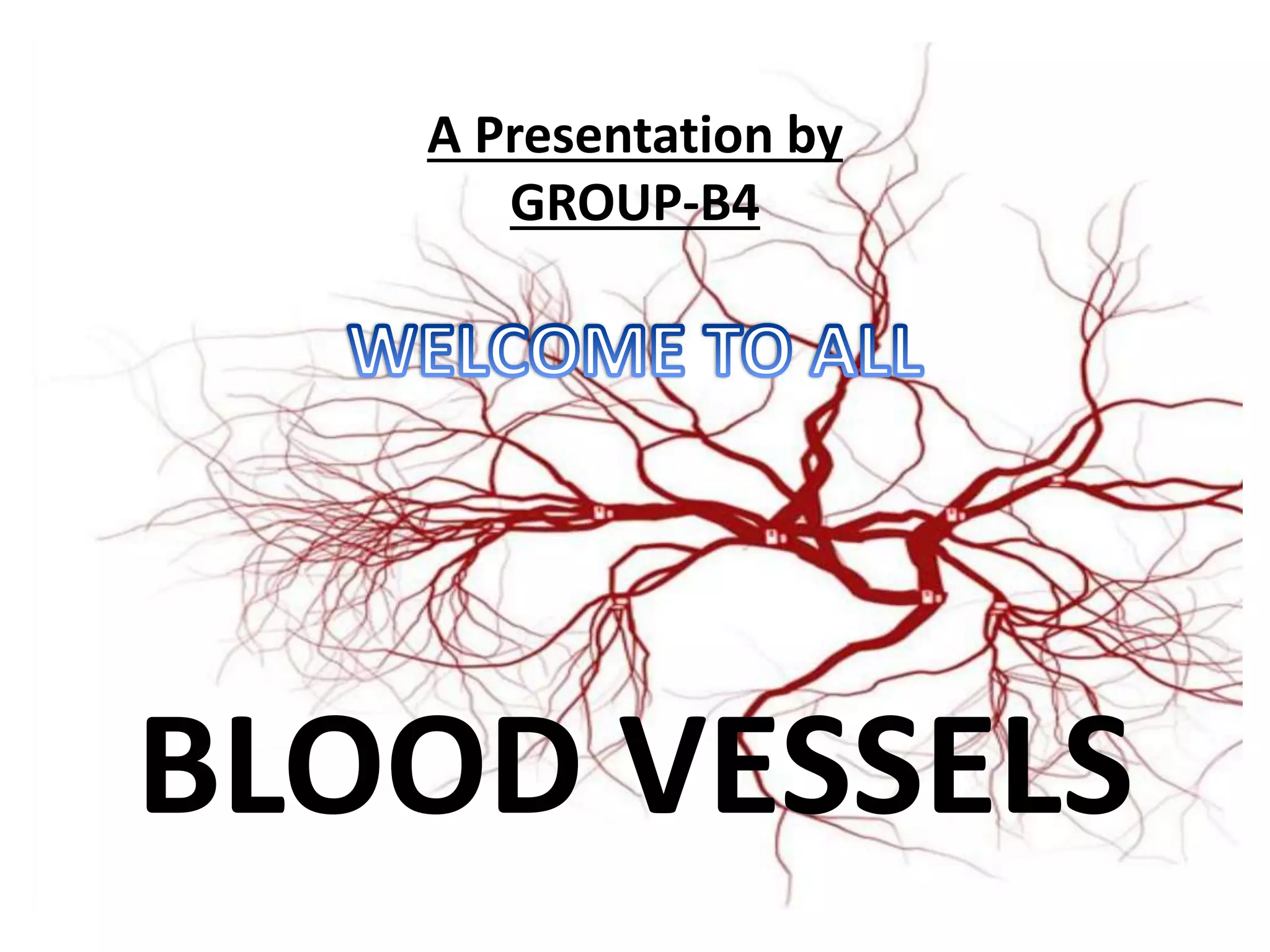 Comparative study of Blood vessels of vertebrates | PPTX