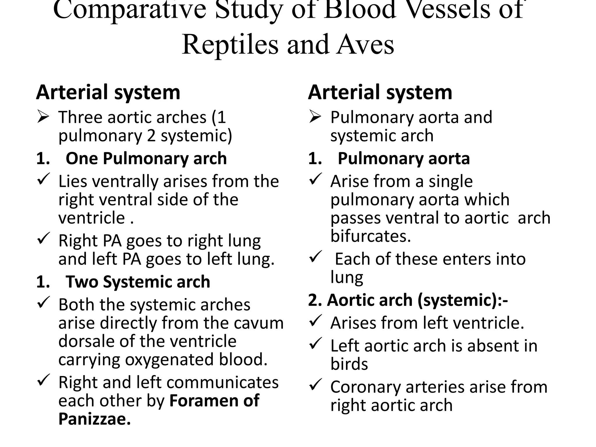 Comparative study of Blood vessels of vertebrates | PPTX