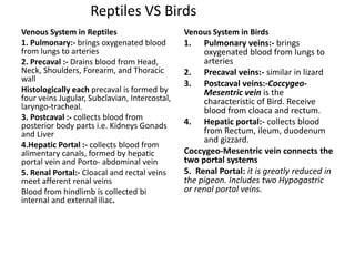 Comparative study of Blood vessels of vertebrates | PPTX