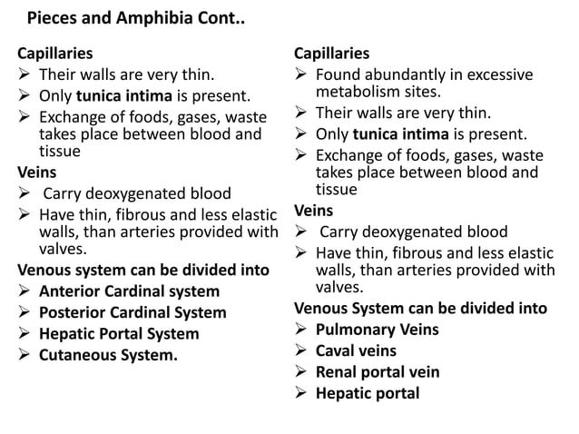 Comparative study of Blood vessels of vertebrates | PPTX