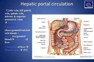 ANATOMY OF BLOOD VESSELS | PPT