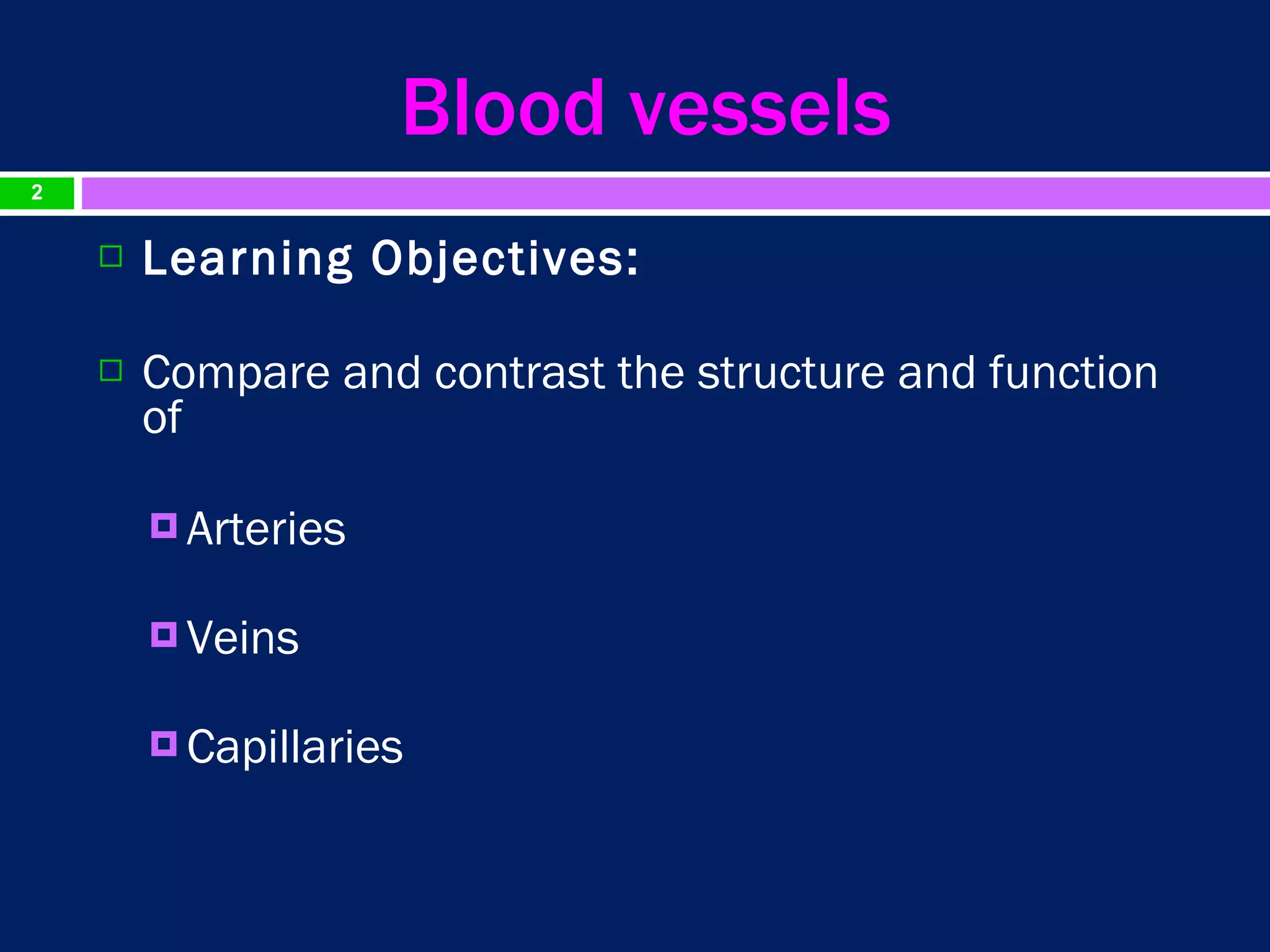 Blood vessels.2. | PPT